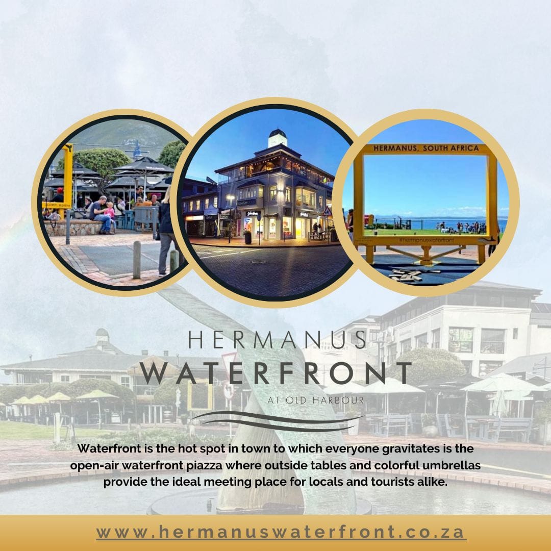 Hermanus Business Chamber | For The Future | Businesses